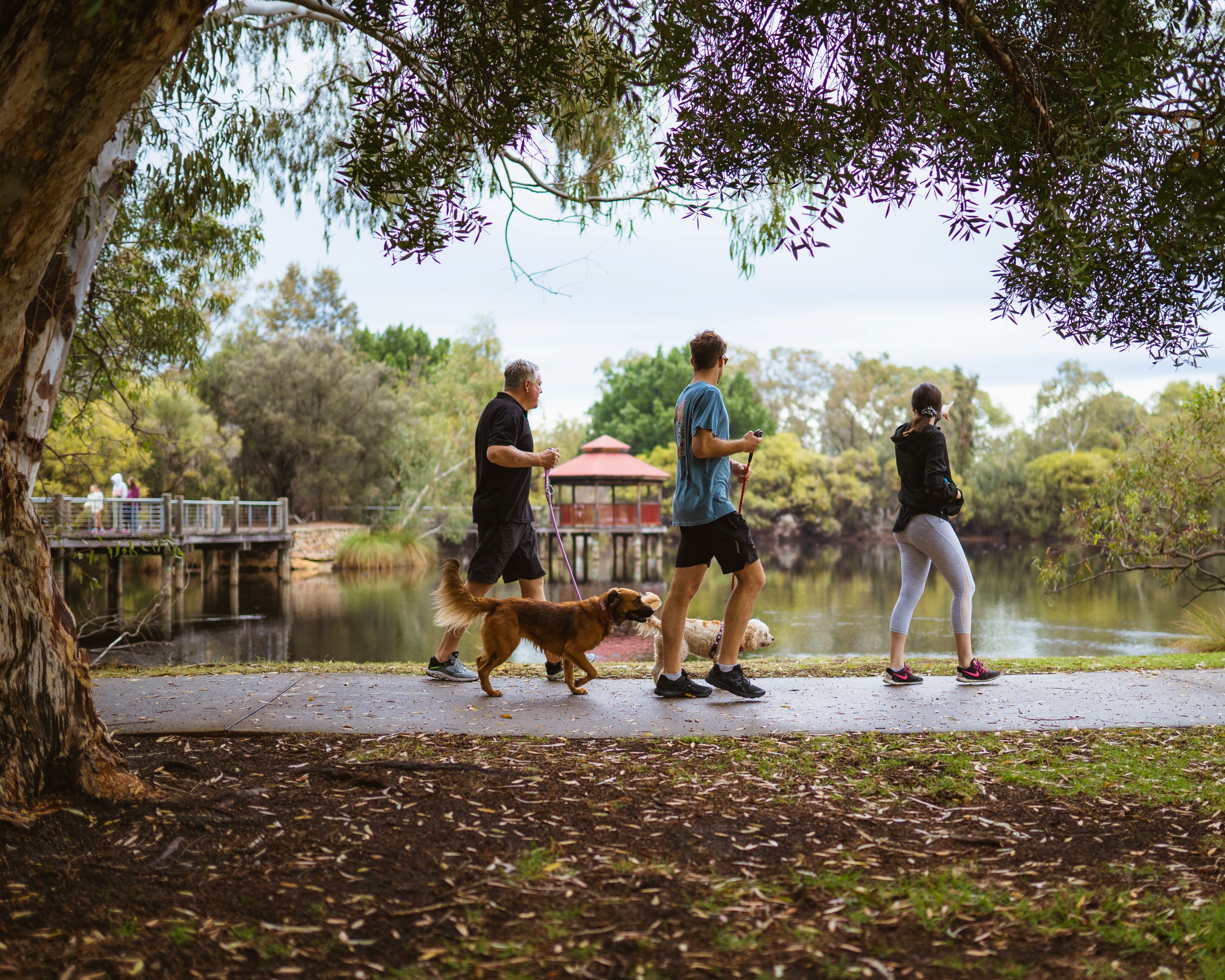 City of Belmont Lights up Tomato Lake with Solar Powered Bollards